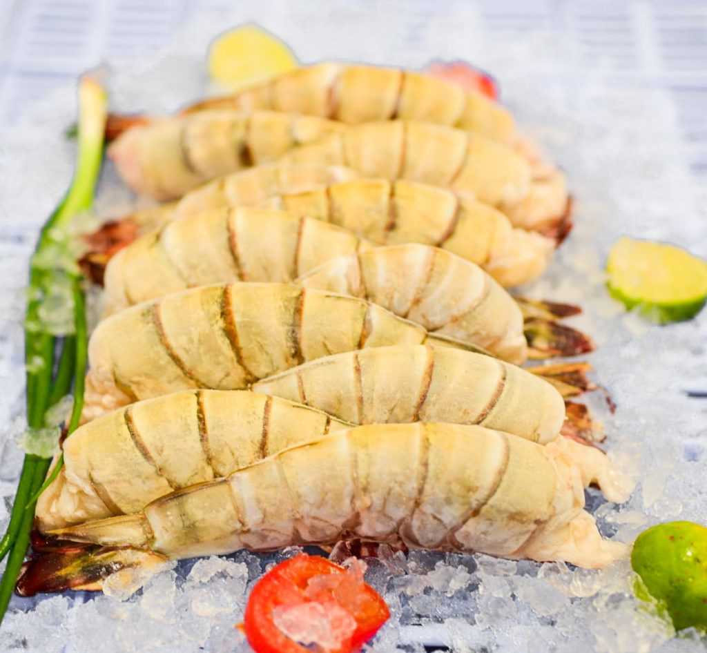 Sicocean Antananarivo | Camarons Décortiqués