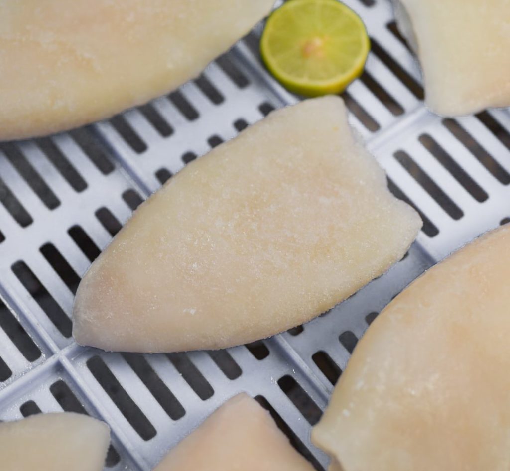 Sicocean Antananarivo | Tentacules de Calamars