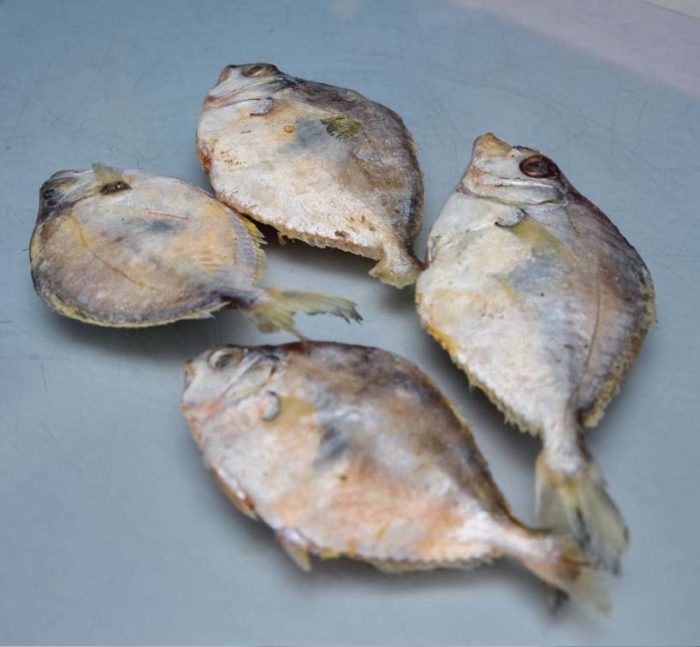 Sicocean Antananarivo | Pêche Cavale