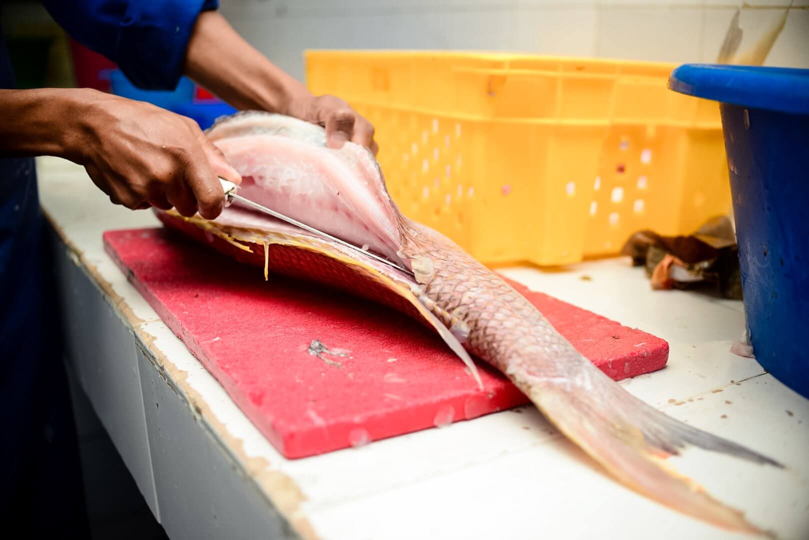 Sicocean Antananarivo | Le magasin